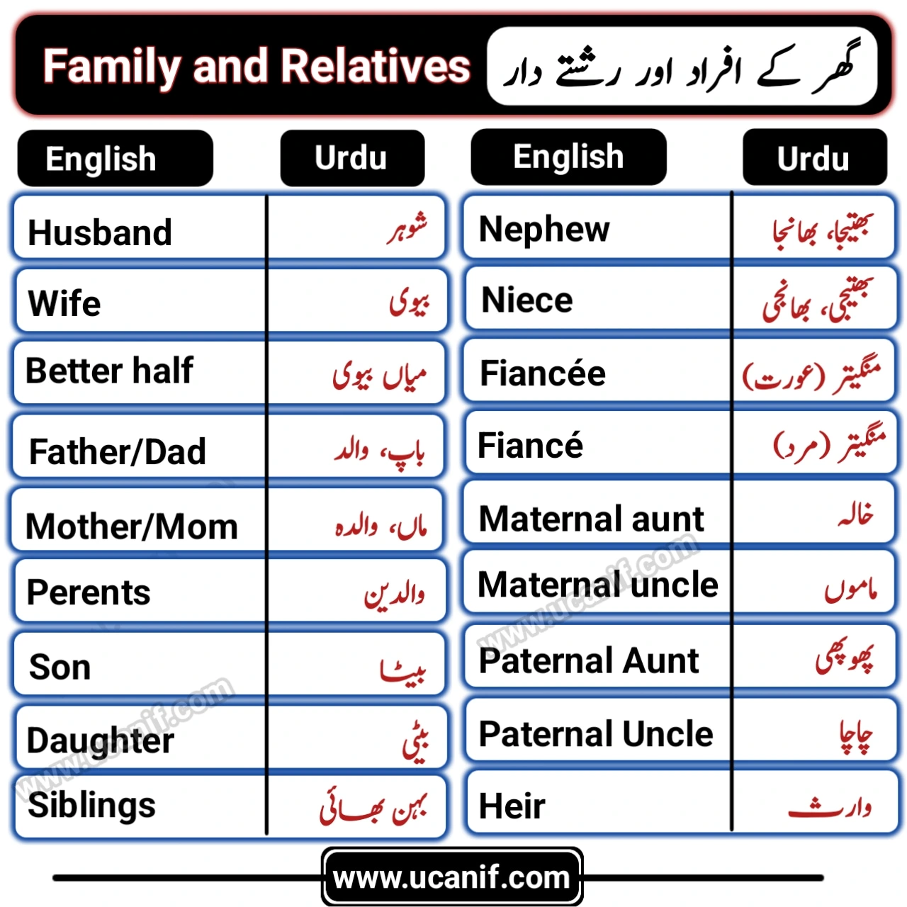 Family Members In Urdu & English | 40 Useful Words - You Can
